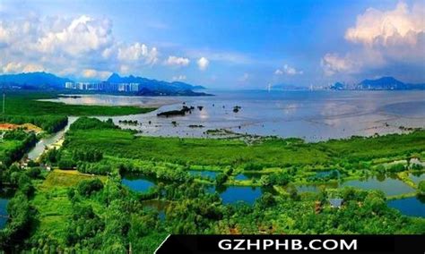 深圳白天好玩的地方 好评好报网