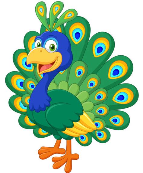 Peacock Illustrations Royalty Free Vector Graphics And Clip Art Istock