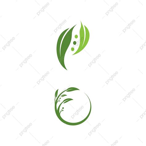 Olive Leaf Frame Vector Hd Images Olive Leaf Vector Illustration Design Template Illustration