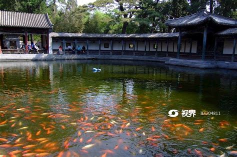 北京香山红叶公园 见心斋 图片 轩视界