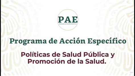PAE Políticas de Salud Pública y Promoción de la Salud YouTube