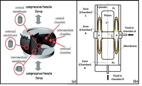 Bidirectional Pneumatic Deformable Actuators Bifac 45 A And Download Scientific Diagram