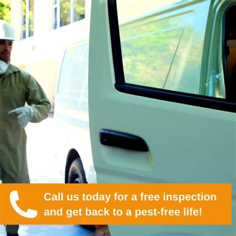 Residential Termite Injection Pest Control Rs 1sq Ft Team Experts
