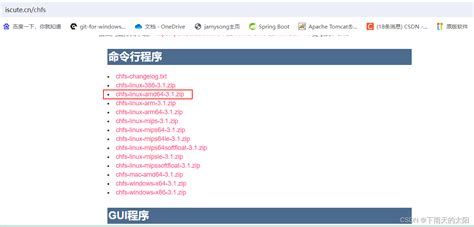 Chfs简单好用的局域网共享网盘 Csdn博客