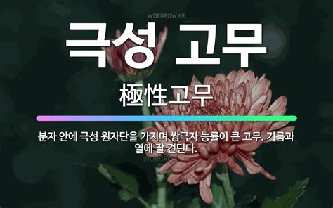 🌟극성 고무 분자 안에 극성 원자단을 가지며 쌍극자 능률이 큰 고무 기름과 열에 잘 견딘다 표준국어대사전