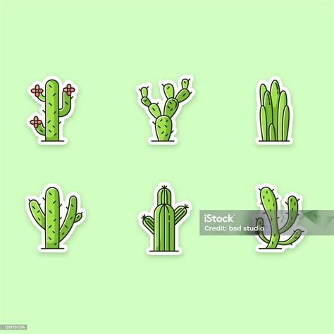 선인장은 인쇄 가능한 패치를 사용합니다 살이 많은 트렁크가 있는 미국 사막 식물 Rgb 컬러 스티커 핀 배지 세트 다른 가시 다육 식물 건조한 지역 가시 야생화 벡터 격리