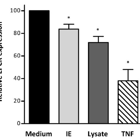 Endothelial Protein C Receptor Epcr Expression On Human Brain