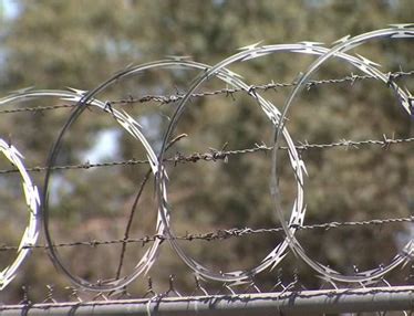 Difference Between Barbed Wire And Razor Wire