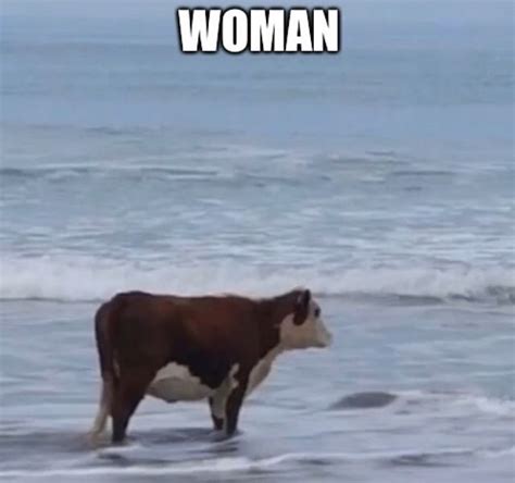 Pin On Cursed Memes