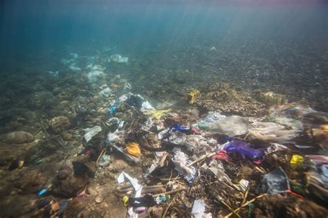 Wastewoima® Fuels Marine Debris Woima Corporation