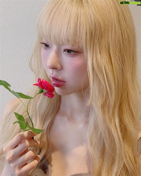 Wong Ka Hei Wiki Biography Age Gallery Spouse And More