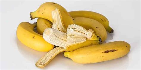 Can You Refrigerate Bananas Best Banana Storage Containers Pantry Tips