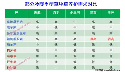 黑麦草种的深和浅的区别 绿宝园林网