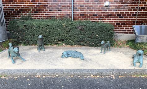 日本人と「犬」の関係。江戸時代には犬専用の飼育書「犬狗養畜伝」や大規模な犬小屋も登場 歴史・文化 Japaaan