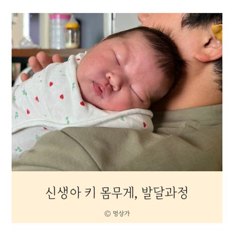 신생아 기간 시기 발달과정 신생아 키 체중 몸무게 등 표준성장표 살펴보기 네이버 블로그