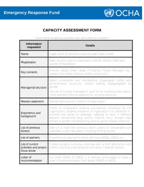 CAPACITY ASSESSMENT Doc Template PdfFiller