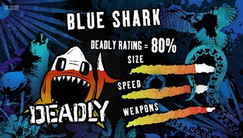 Blue Shark Deadly 60 Wiki Fandom
