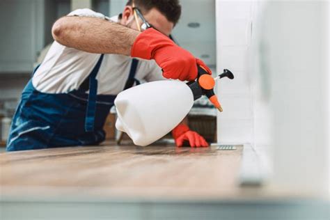 Hire An Exterminator To Get Rid Of Bed Bugs My Blog