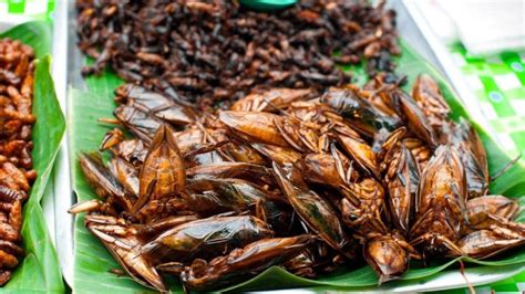 Top 10 Best Street Food In Cambodia You Must Try When Coming