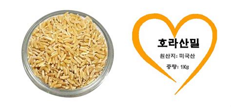 미국산 호라산밀 100