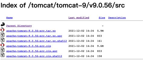 Spring Boot为什么不需要额外安装Tomcat 二哥的Java进阶之路