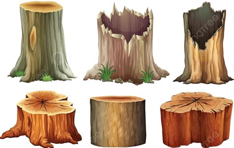 Different Tree Stumps Hollow Hole Everyday Vector Hollow Hole