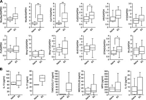 Sex Specific Lung Inflammation And Mitochondrial Damage In A Model Of