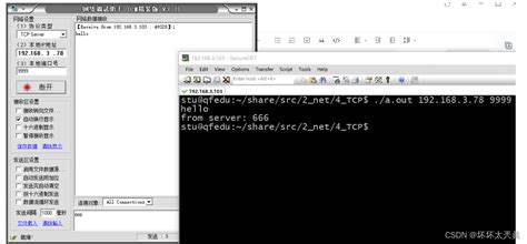 Tcp编程基础 Csdn博客