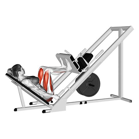Leg Raises How To Do Them Variations Benefits And Mistakes
