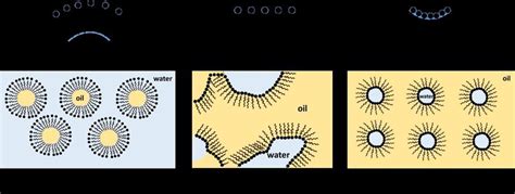 Structure Of Left An Oil In Water Microemulsion Middle A Download Scientific Diagram