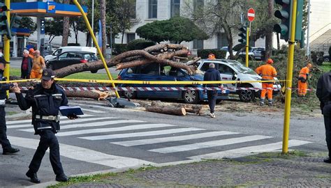 Albero Di Pino Cade Su Due Auto A Roma In Via Cristoforo Colombo Un