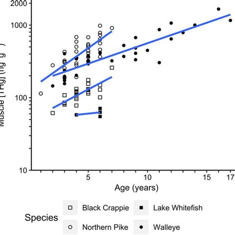 Muscle Total Mercury Concentration Regressed On Age In Four Freshwater Download Scientific