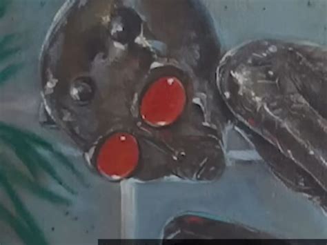 Filmmaker Claims Video Exists Of The Aliens Found In Brazil In 1996