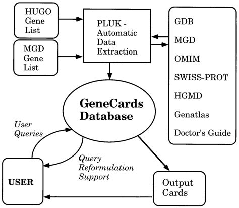 An Overview Of The Implementation The Hugo List Of Approved Gene