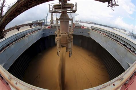 Sopesp Exportação De Soja Do Brasil Pode Atingir Recorde Histórico Em