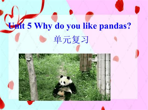 中考英语一轮复习课件：七下unit 5 Why Do You Like Pandas 复习课件共31张ppt 21世纪教育网