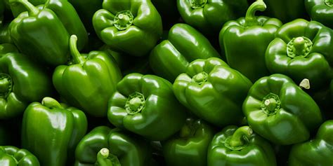 Capsin Bilder Durchsuchen 29 633 Archivfotos Vektorgrafiken Und Videos Adobe Stock