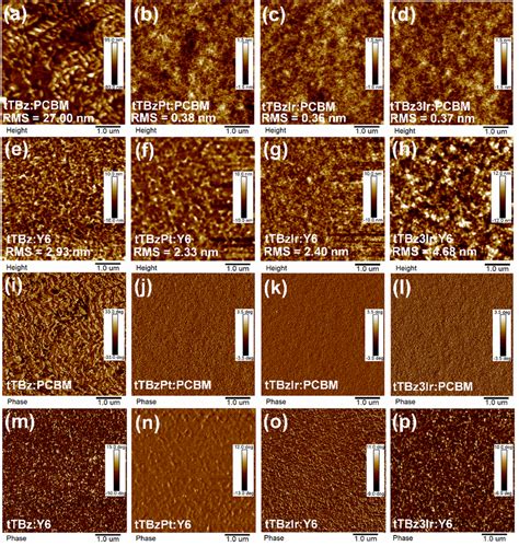 Film Morphology Images Ah Afm Height Images And Ip Afm Phase