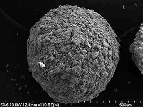 Scanning Electron Microscope Sem Image Of Composite Granule With