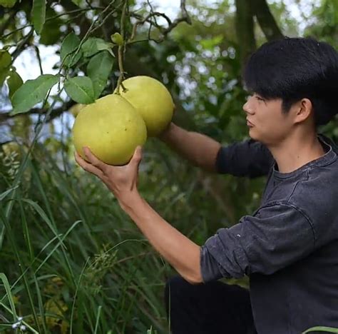 下雨天的治癒，藏在每一種聲音里。屋檐下的雨 滴答”成韻，竹林間的雨 沙沙”成律，連樹葉被打濕的輕響，都是這自然樂曲里的小音符。聽著聽著，所有的煩擾都隨雨落下，慢慢沈澱。 鄉村守護人 乡村
