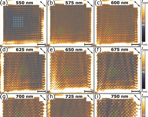 Interference Patterns Measured For Linearly Polarized Illumination At