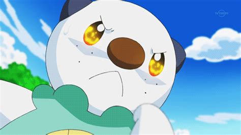 Oshawott S Wiffle