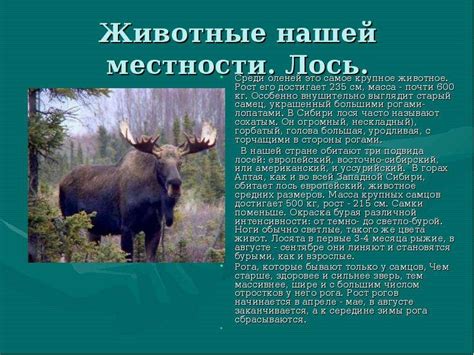 Проект по теме «Животные России Подготовил ученик 3б класса Зернов