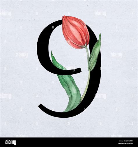 Vector Number 9 Font Vintage Serif Typeface Stock Vector Image And Art