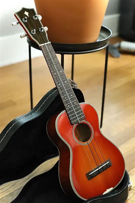 Kamoa Custom Shop 500 Concert Series Red Burst Reverb Concert
