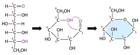 Monosaccharides