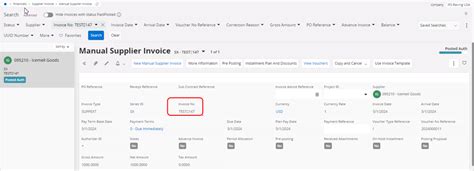 IFS Application Allows The Addition Of Erroneous Characters When Creating Manual Supplier