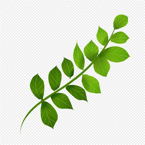 Folhas Verdes Criativas Dos Desenhos Animados Png Imagens Gratuitas