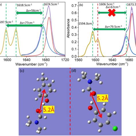 Linear Ir Spectra Of Amide I Dimethylformamide And The Cc Mode Of A
