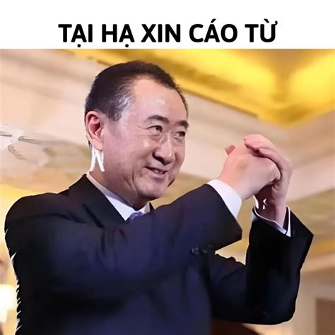 Tổng Hợp 180 Meme Cáo Từ Mặn Hài Bá đạo Khỏi Bàn